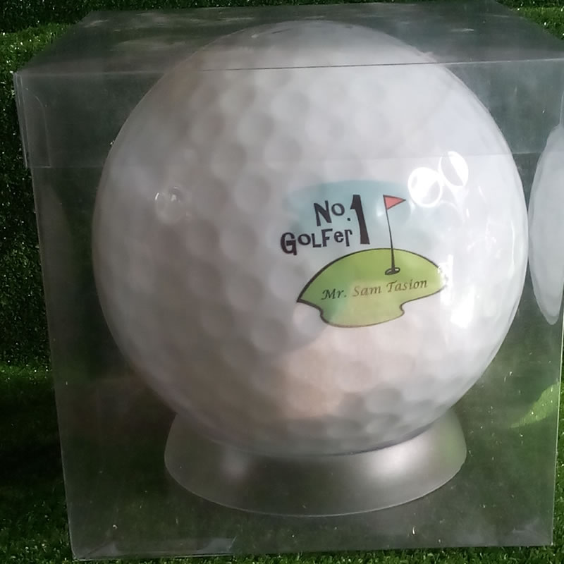 Printing on the Autograph Ball and logo specifications